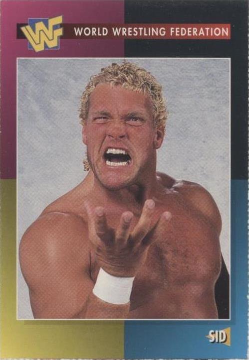 1995 WWF Magazine Cards - Sid #46 (RC) for sale online | eBay
