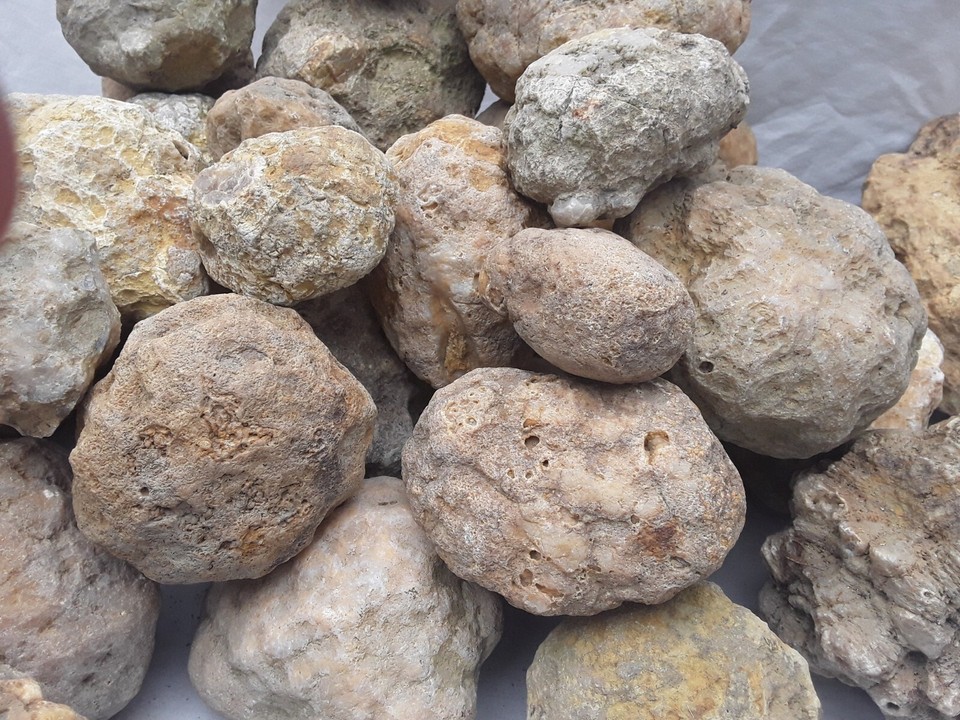 15 lbs Unopened Kentucky Geodes – Natural Quartz Crystals, Collectors ...