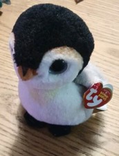 Pongo the Penguin - Beanie Babies - Beaniepedia