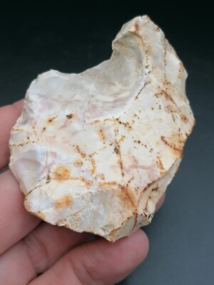 Neolithic & Paleolithic - Flint Scraper Tool