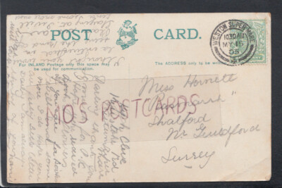 Genealogy Postcard - Hornett - "Peasmarsh",Shalford, Nr Guildford ...