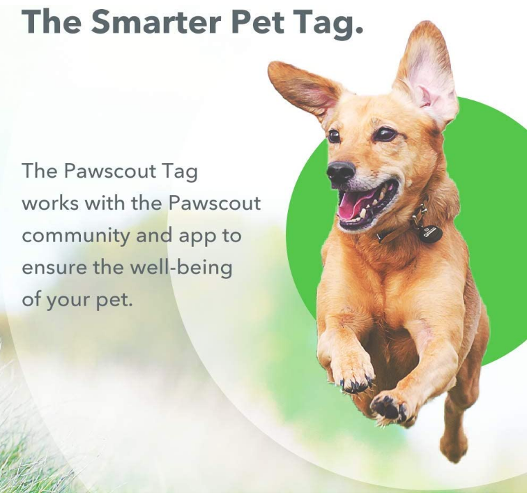 Pawscout The Smarter Pet Tag Community Pet Finder & Alerts Bluetooth ...