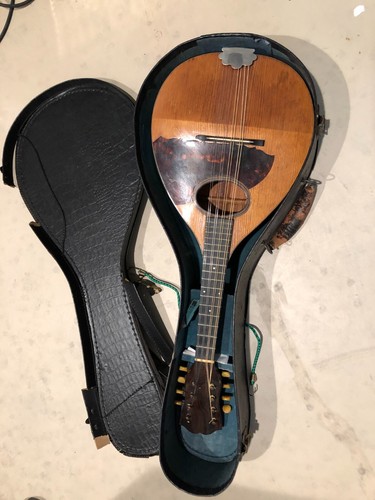 1920 Ditson Style A (martin?) Mandolin with case | eBay