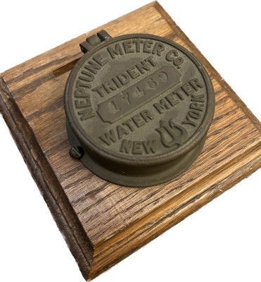 Gas & Water Meters - Neptune Water Meter