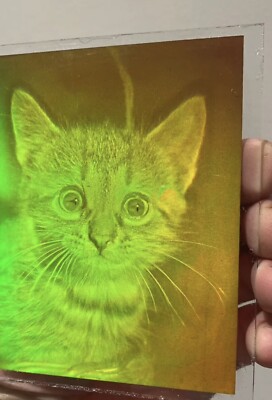 Two hologram set. True 3D laser hologram. It’s me honey! and Character ...