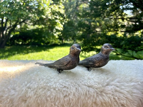 Ornate Vintage metal birds Salt & Pepper Shakers Large long tail bird ...
