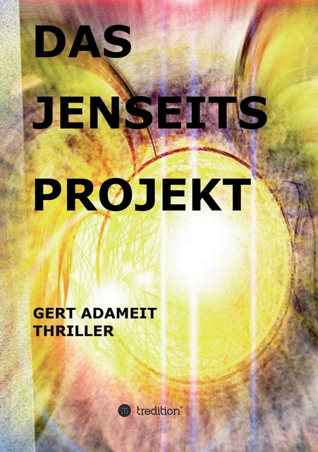 Das Jenseits Projekt von Gert Adameit (2017, Taschenbuch) online kaufen ...