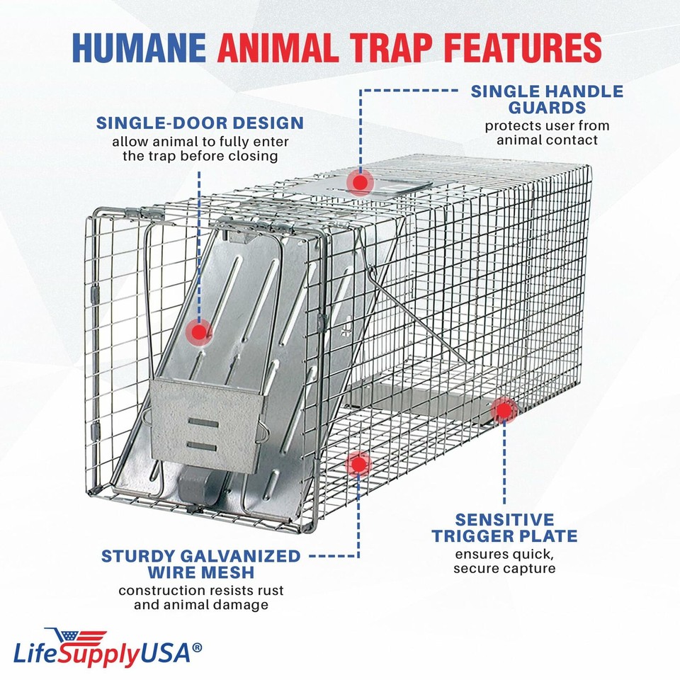 Heavy Duty Catch Release Large Live Humane Animal Cage Trap for Foxes ...