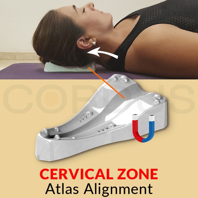 Sacrus for Sciatica Scoliosis Herniated Discs Extended English Manual ...