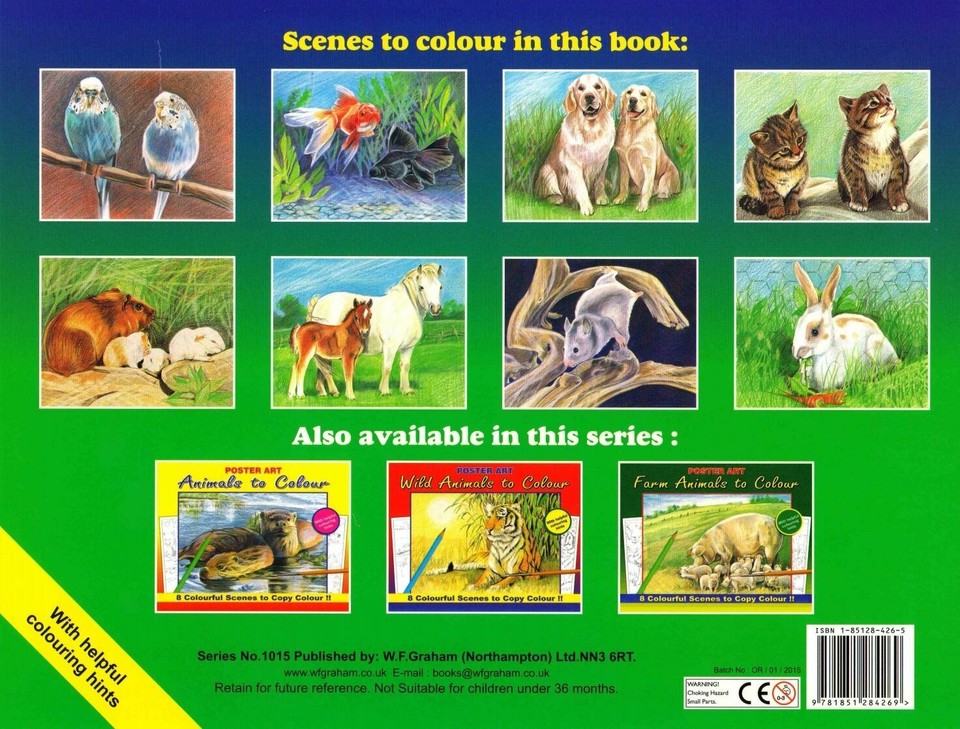 Adult Colouring Books Pro Advance Level Artist Expert Quality Painting ...