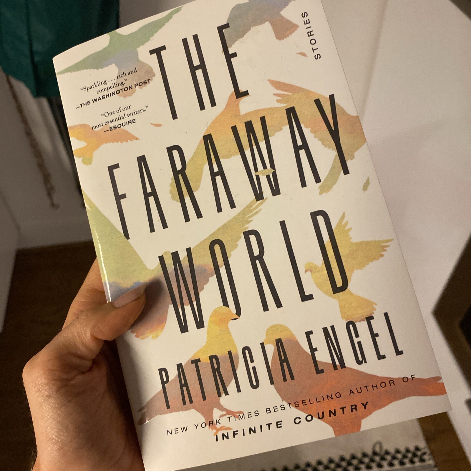 The Faraway World By Patricia Engel | eBay
