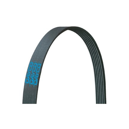 Dayco 5080505 Poly Rib Belt, Dayco | eBay
