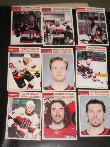 2025-2026 BELLEVILLE SENATORS AHL TEAM CARD SET-25 CUSTOM CARDS | eBay