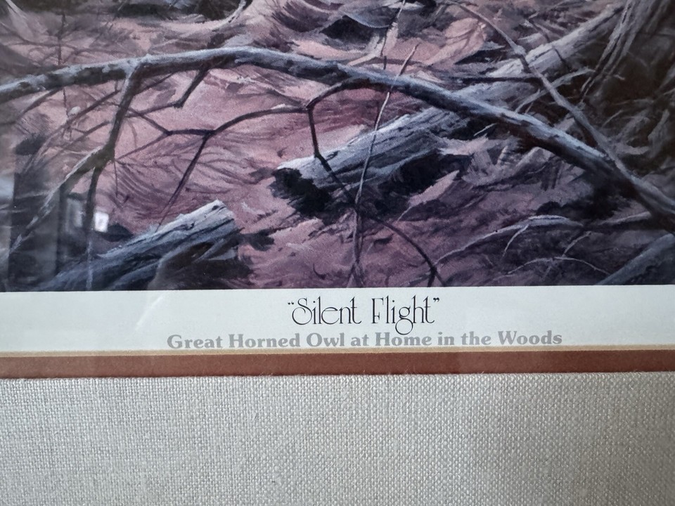 TERRY REDLIN FRAMED “ SILENT FLIGHT” LIMITED EDITION ARTIST PROOF 10/96 ...