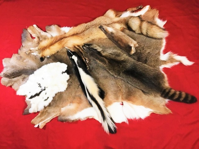 MELBY Outdoor Products Complete Home TANNING Kit Kits Hide Hides Fur ...