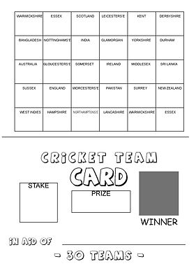 25 Cricket Team Name Fundraising Card - 30 Spaces - for fundraising ...