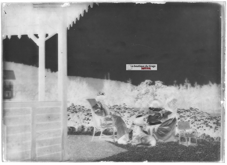 Plate Glass Photo Antique Negative Black and White 5 1/8x7 1/8in Kids ...