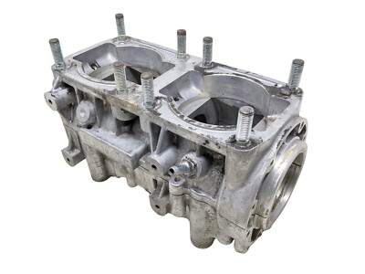 78 Arctic Cat Panther 5000 Engine Motor Crankcase Set | eBay