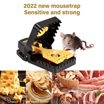 6 x Traps Intruder Reusable Mousetrap Very Easy Set Spring Mouse Trap ...