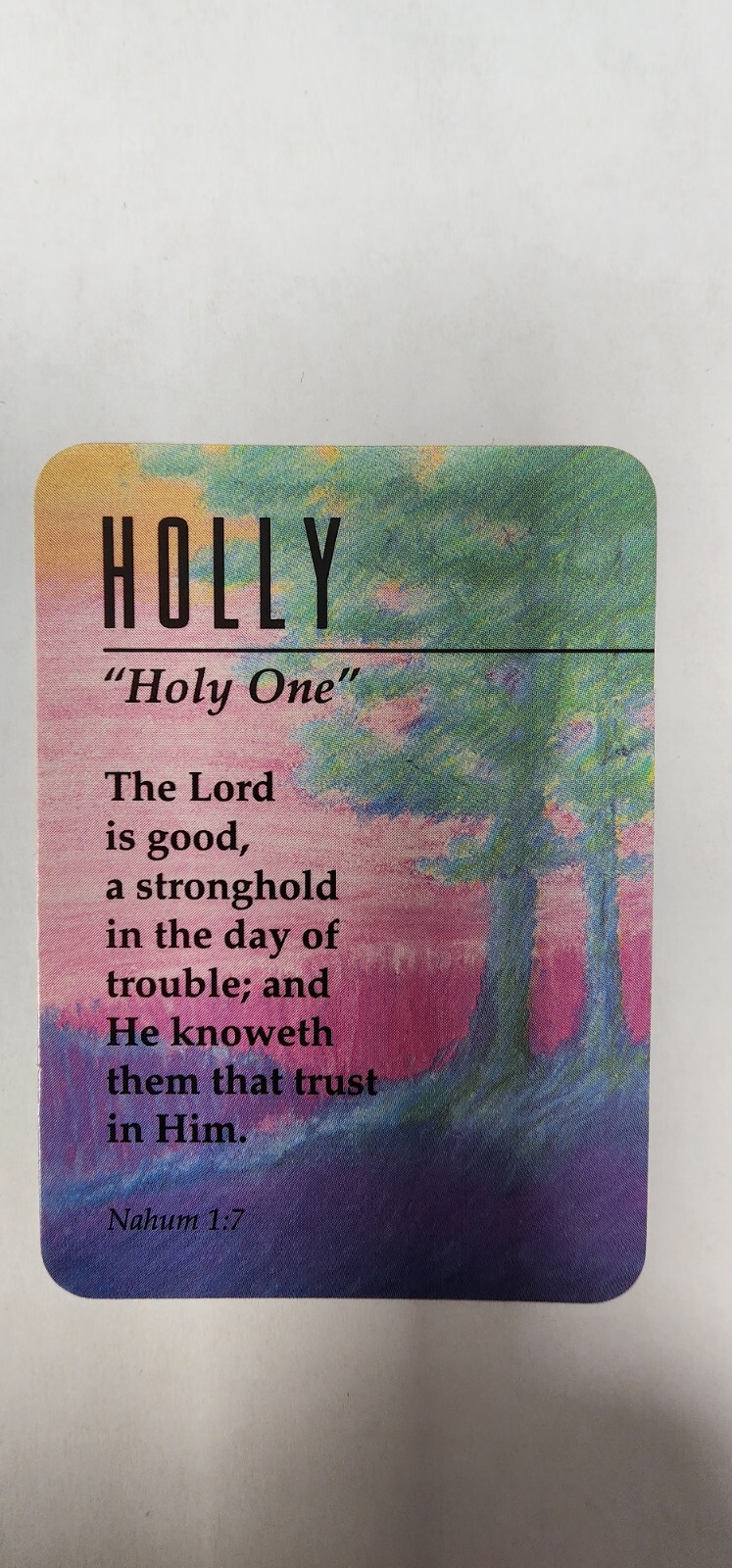 Holly "Holy One" Keepsake Name Meaning Card Bible Verse NAHUM 1:7 | eBay
