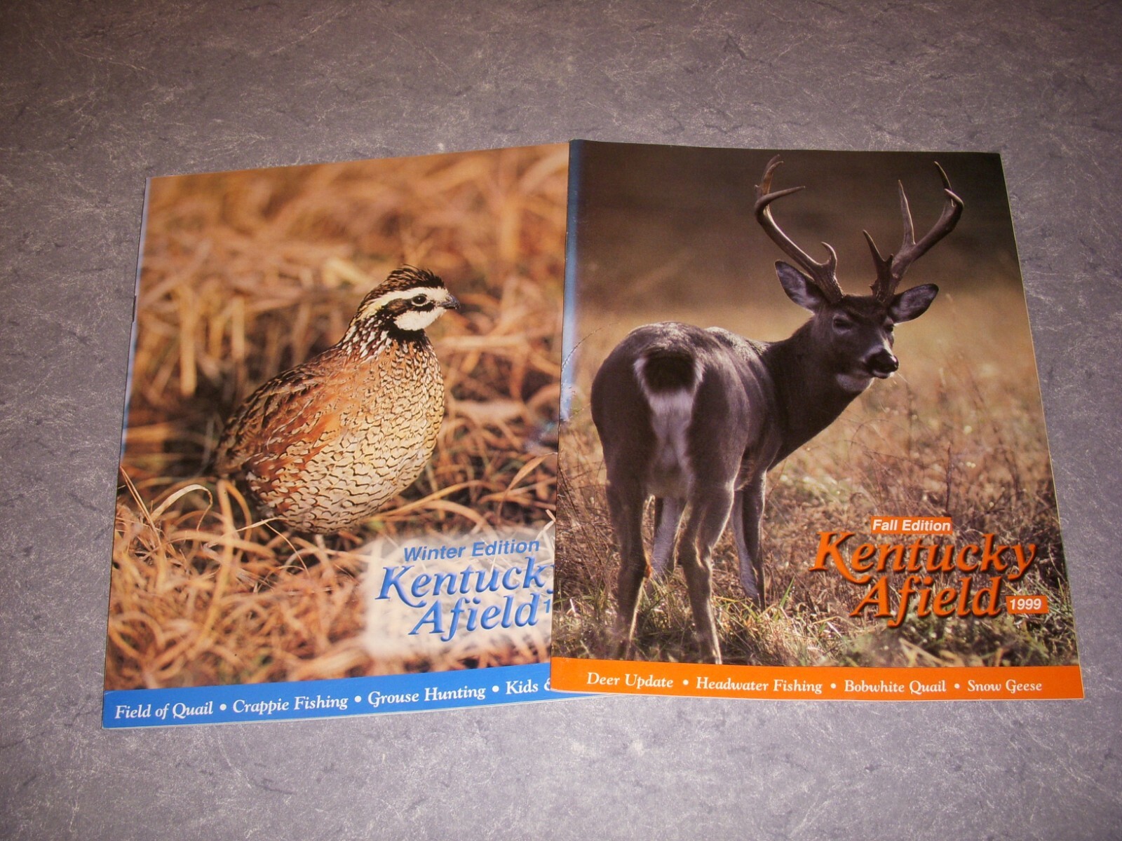 KENTUCKY AFIELD Magazine LOT OF 2, 1999, GROUSE HUNTING, CRAPPIE ...