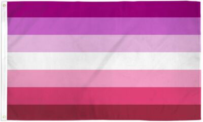 Pink Lesbian Flag 2x3ft LGBTQIA Lesbian Pride WLW Pride Flag Pink ...