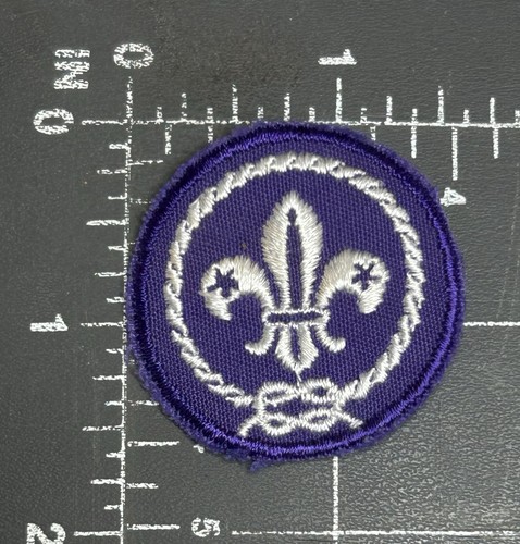 World Scouting Movement Organization WOS Boy Scouts of America BSA ...