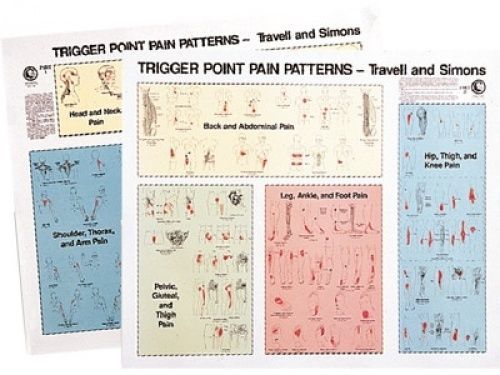 Trigger Point Pain Patterns Wall Charts by David G. Simons, Janet G ...