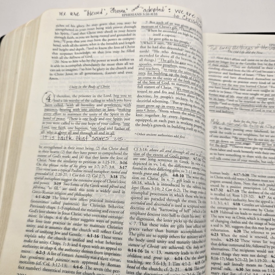 The New Interpreter's Study Bible NRSV w/ Apocrypha Genuine Leather ...