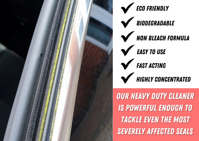 Car Window & Sunroof Rubber Seal Cleaner Remove Mould Green Algae FAST ...