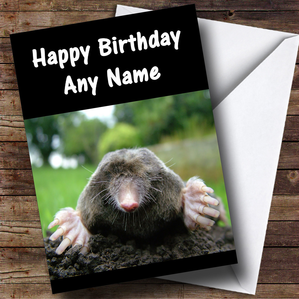 Mole Animal Memes Follow (us) @MEME.IG For More Wholesome Content Like