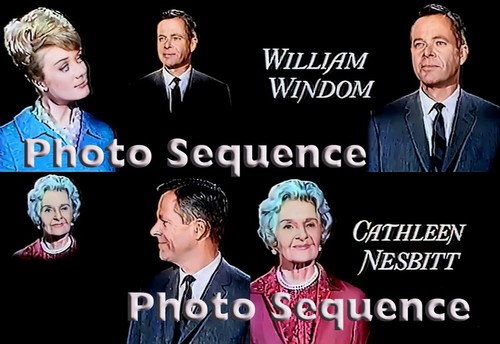 The Farmer's Daughter Inger Stevens William Windom Cathleen Nesbitt ...