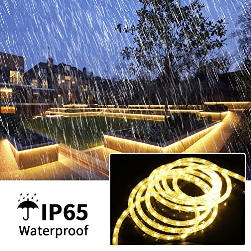 Dimmable 40ft LED Rope Lights 432 LEDs IP65 Waterproof Outdoor Indoor ...