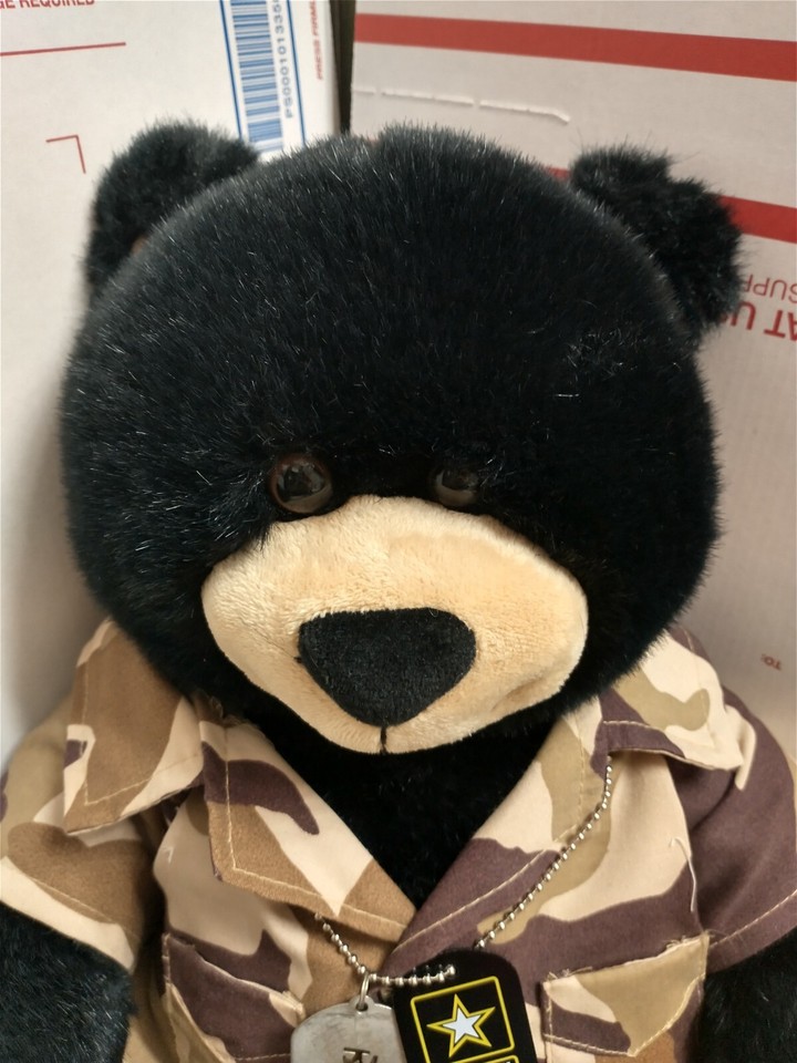 Build A Bear "The Sarge" U.S. Army Racing Bear in camouflage and Dog ...