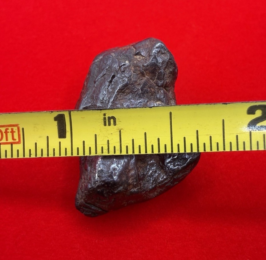 Canyon Diablo Meteorite Slice, Authentic Meteorite, Arizona Meteorite ...