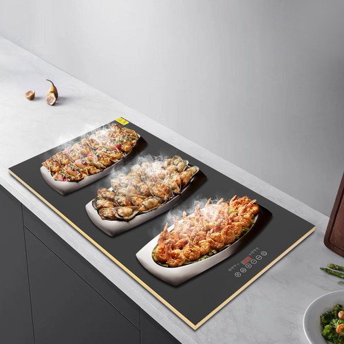 Electric Food Warming Tray Hot Plate Dish Warmer Display Adjustable ...