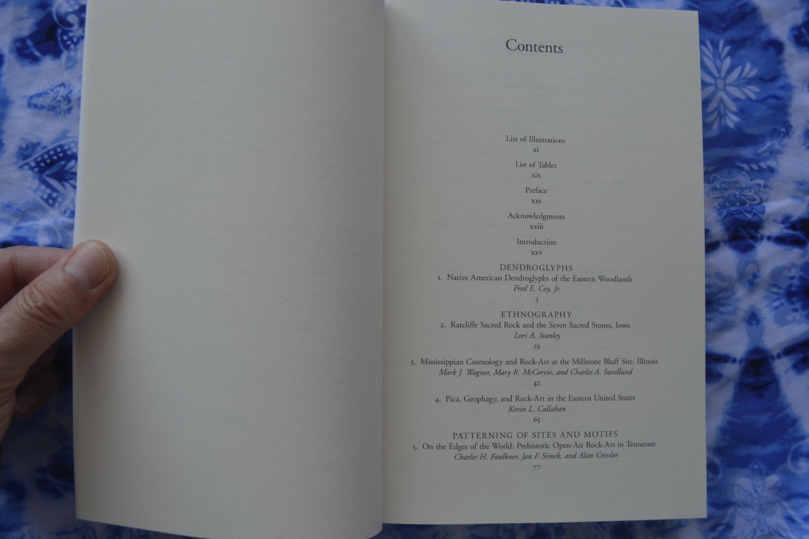 The Rock-Art of Eastern North America : Capturing Images and Insight by ...