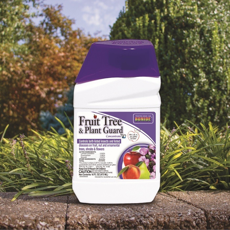 Bonide 2021 Fruit Tree & Plant Guard PT Conc Tree Shrub Insect Disease ...