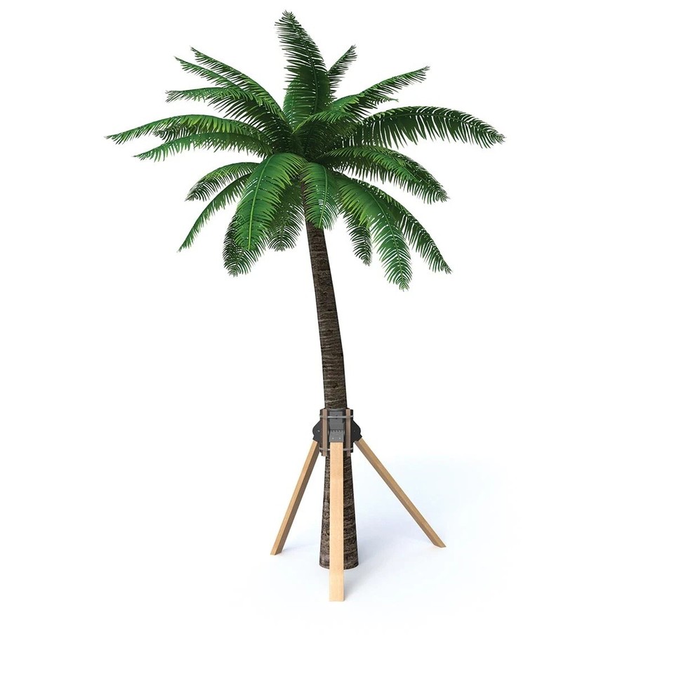 TREE HUGGER® Tree Brace™ Tree Staking Kit™ for Tree, Palm or Cactus | eBay