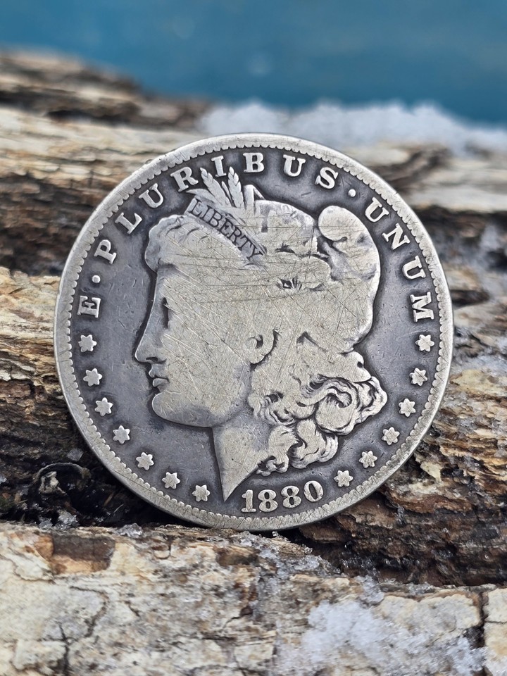 1880 CC MORGAN SILVER DOLLAR KEY DATE CARSON CITY | eBay