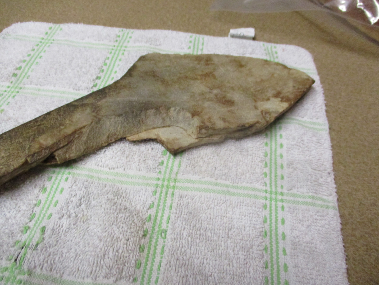 Arrowhead - North Carolina *GUILFORD AXE WITH HANDLE - Randolph Co ...