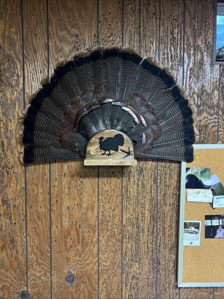 Wild Turkey Plaque Fan/ 1 Beard Display Handcrafted Solid Wood In Dark ...