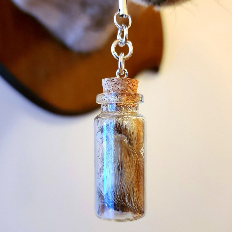 African Spotted Hyena Taxidermy Vintage Fur Keychain Charm Vulture ...