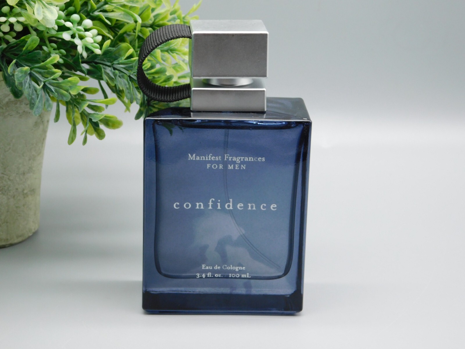 Tru Fragrance Manifest Fragrances for Men Confidence Eau de Cologne ...