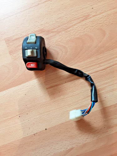 MKS Ecobike Panter Lenkerschalter links | eBay.de