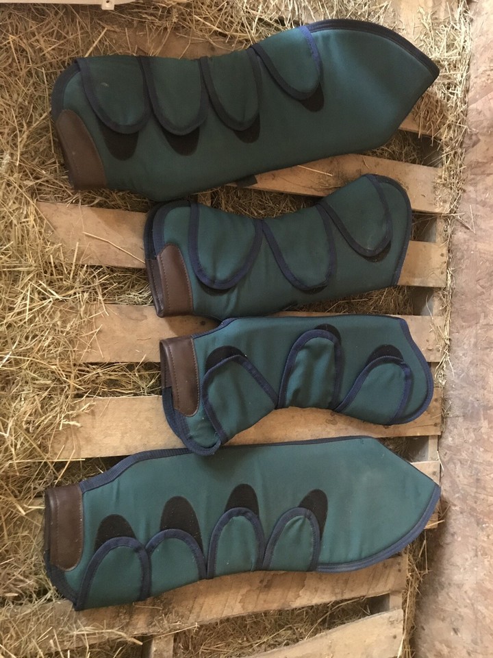 State Line Tack - Shipping Boots - Large Horse | eBay