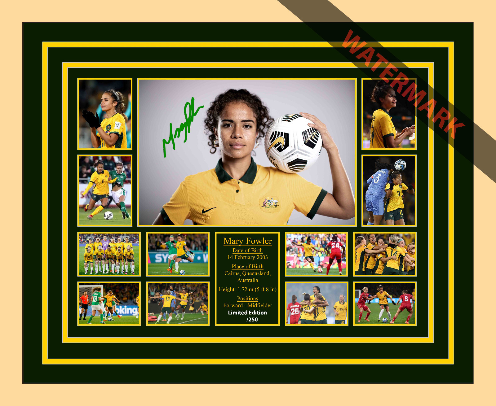MARY FOWLER MATILDAS AUSTRALIA WORLD CUP LIMITED EDT SIGNED & FRAMED ...