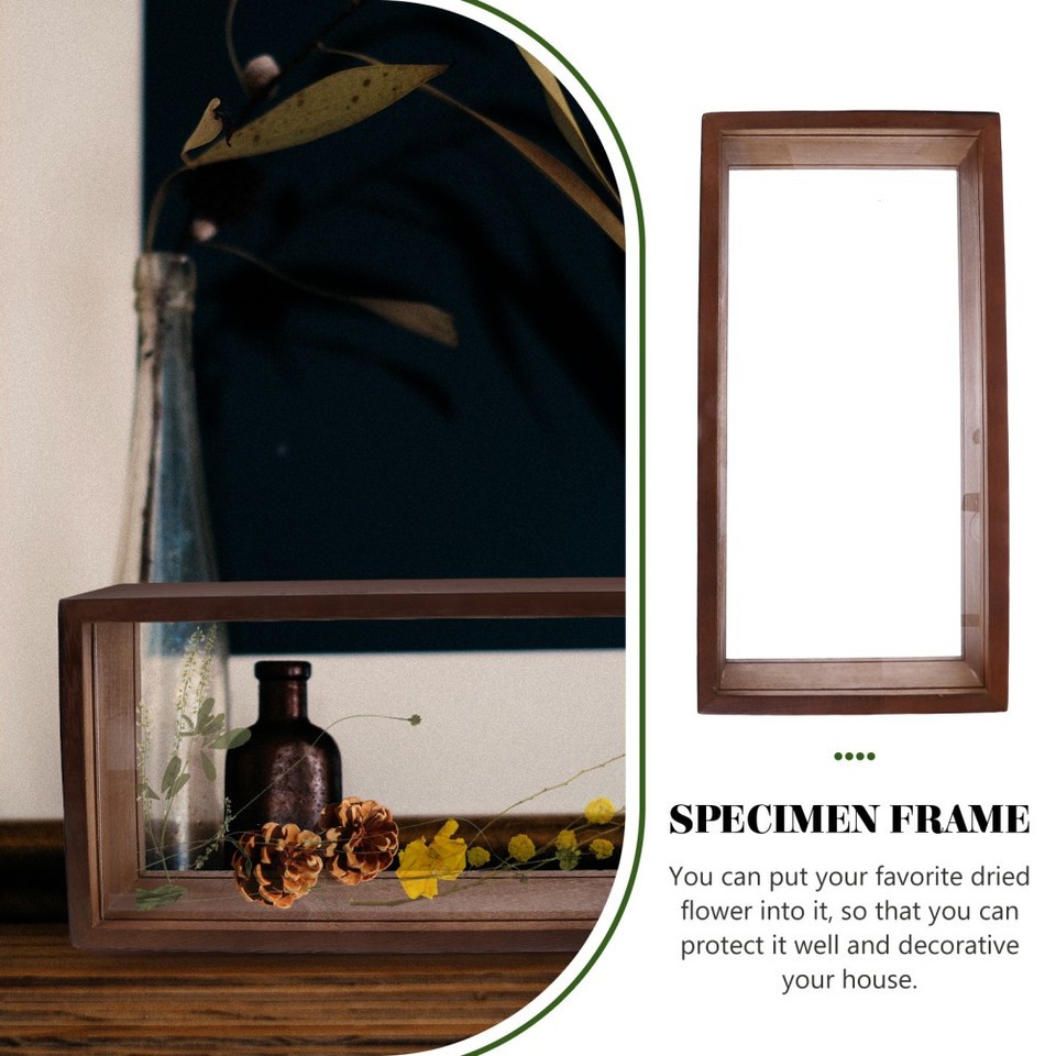 Specimen Frame Preserved Flower Insect Mother Butterflies Ornament ...