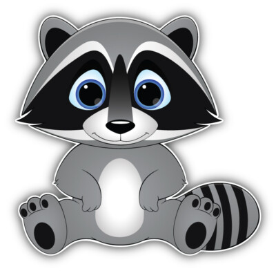 Cute Raccoon Car Bumper Sticker Decal - "SIZES" | eBay