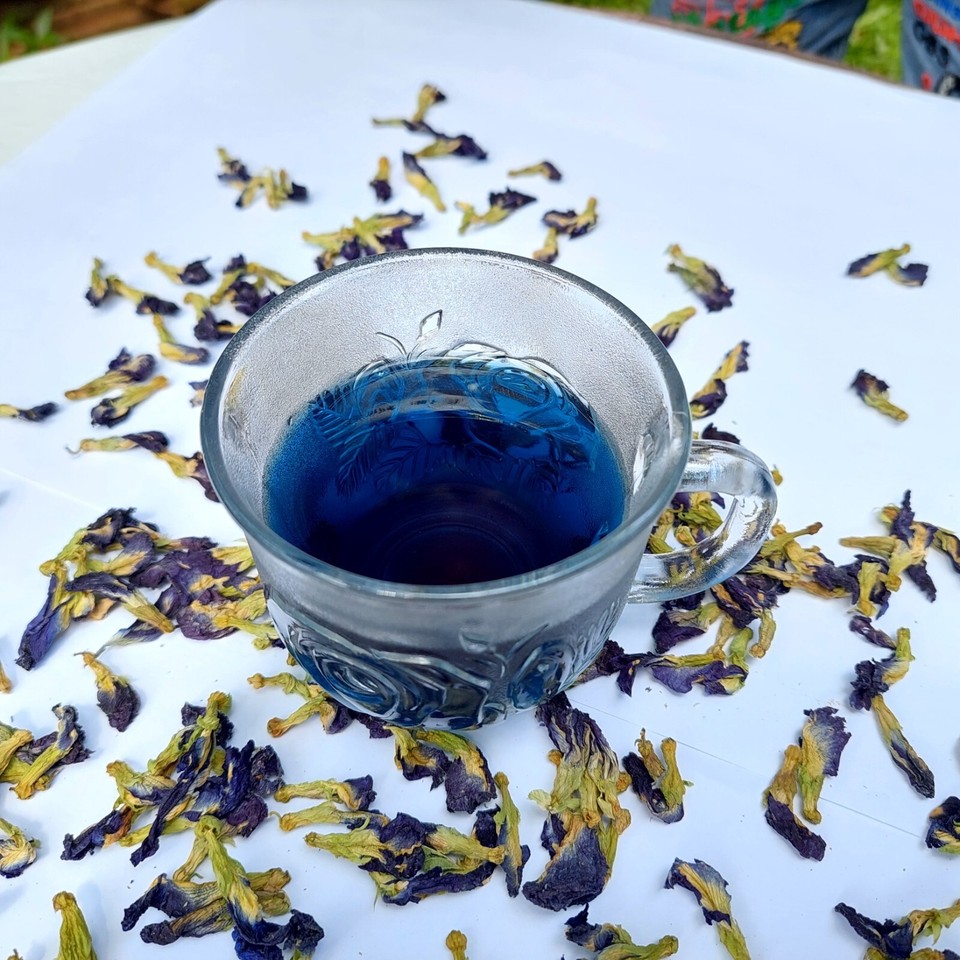 500g Blue Butterfly Pea Flower Clitoria Ternatea Nil Katarodu For ...